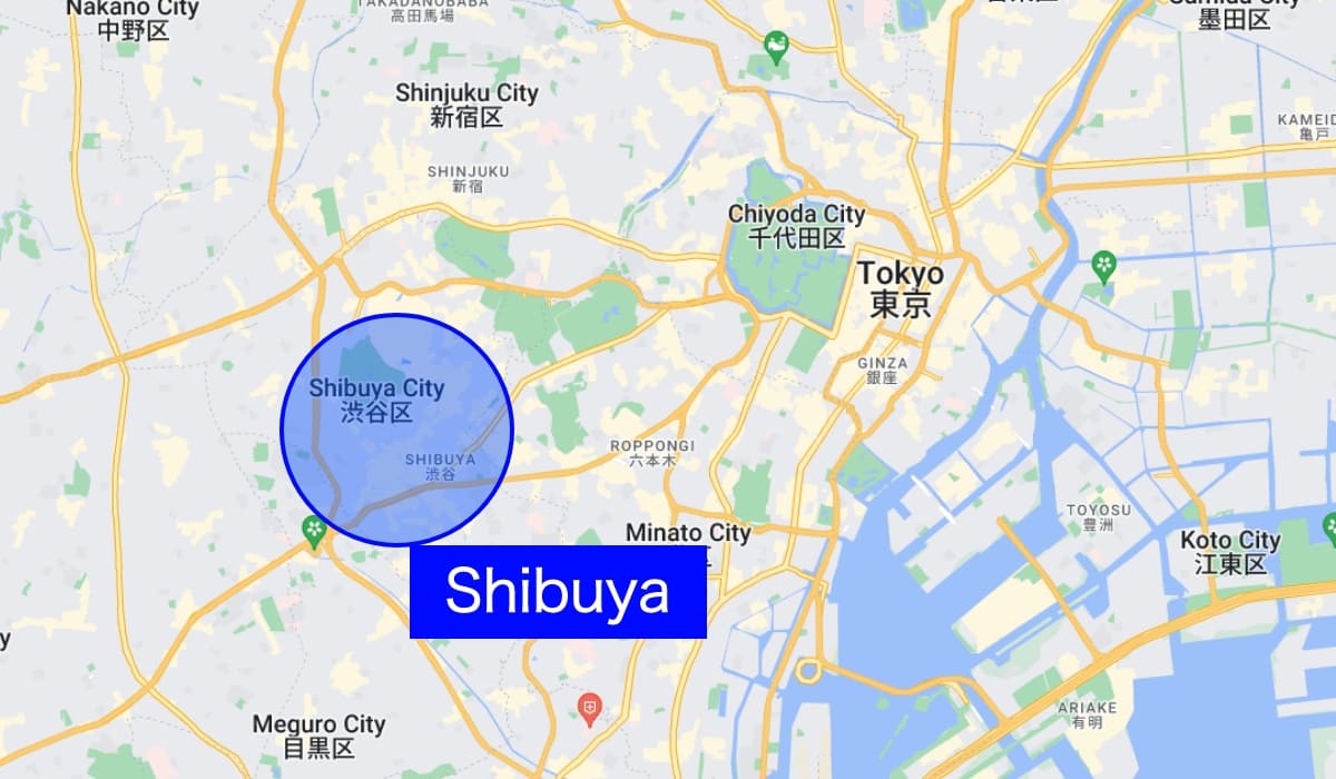 Things to do in Shibuya at Night (Nightlife)