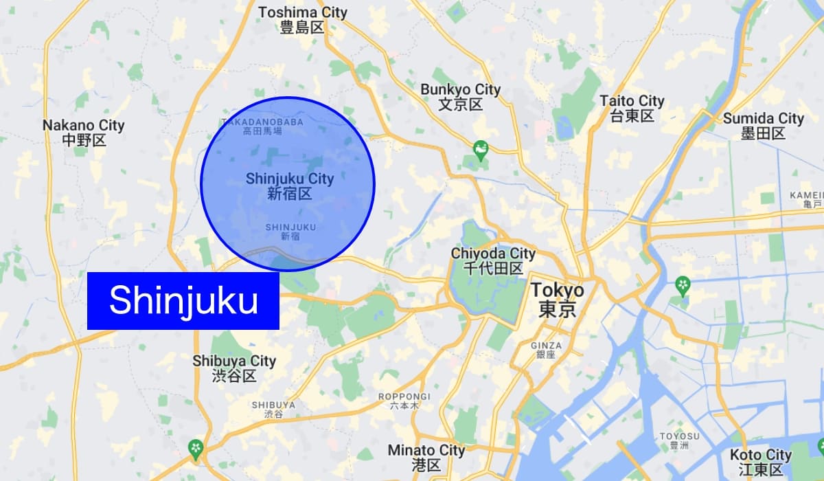 Best Things to Do in Shinjuku at Night (Nightlife)